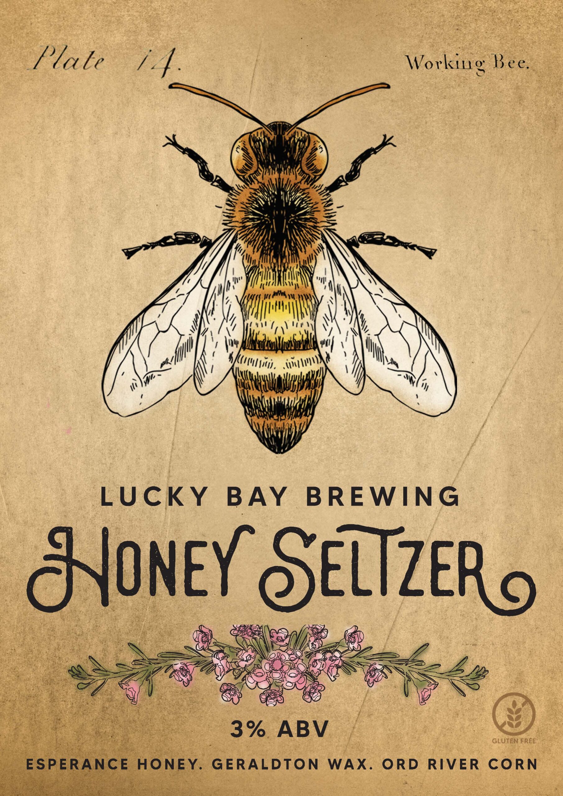 Tasting Notes - LUCKY BAY BREWING